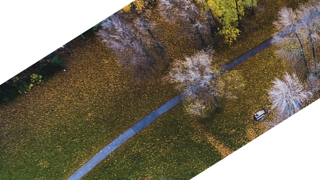 Home - Investor Leadership Network