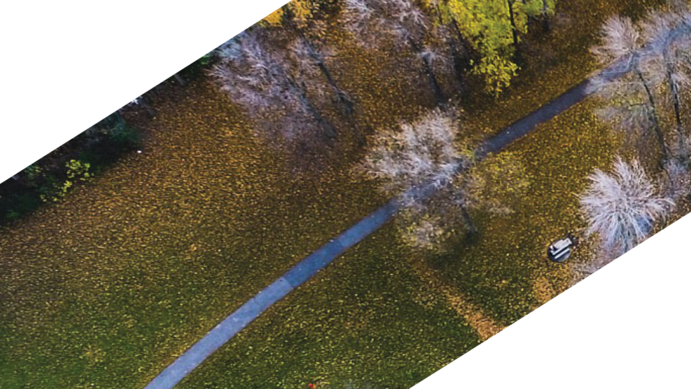 Home - Investor Leadership Network